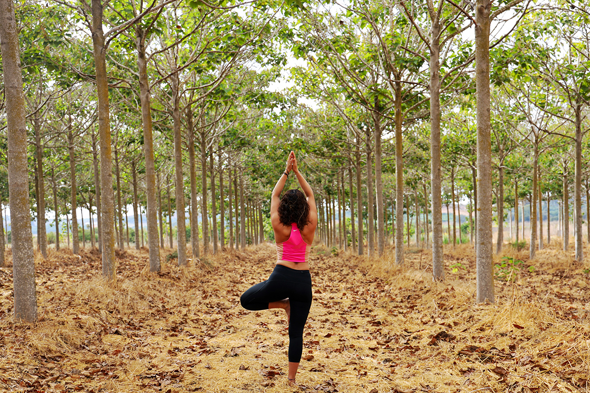 Yogandern im Wald: Wandern mal anders - Cityfan